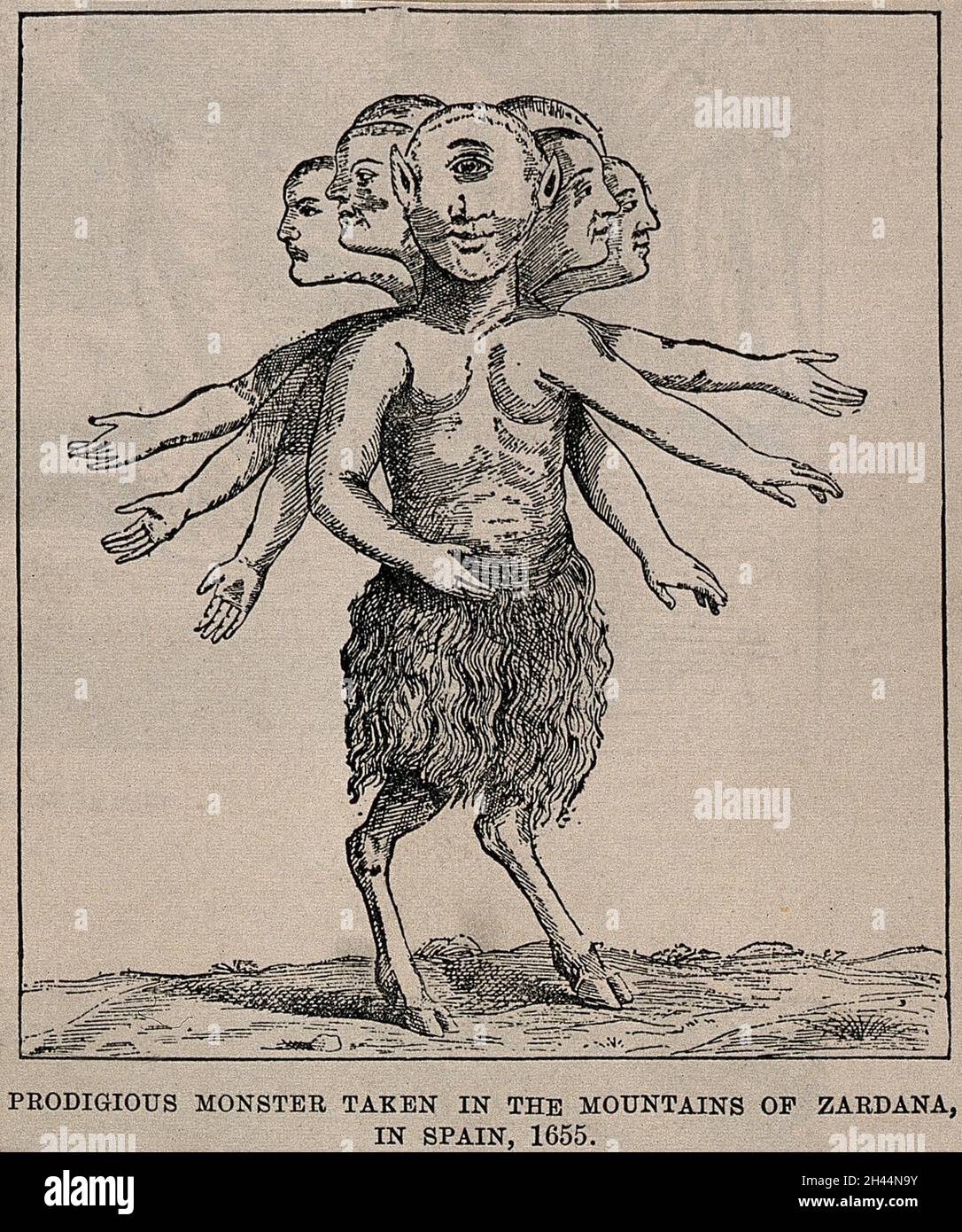 Legs of a goat hi-res stock photography and images - Alamy