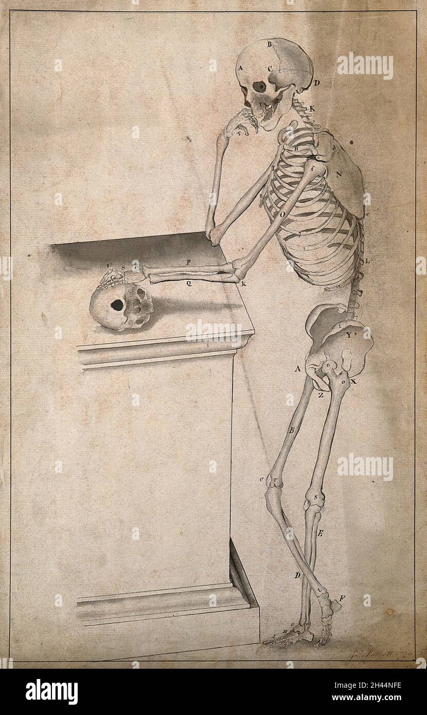Standing skeleton, seen from the side, resting right elbow on a ...