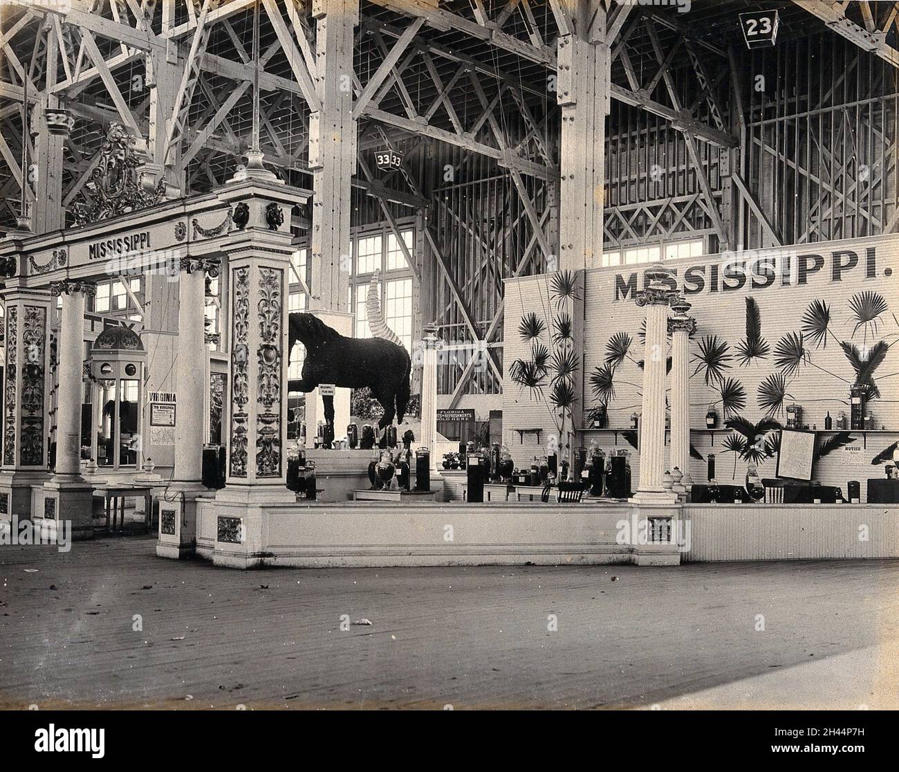 The 1904 World's Fair, St. Louis, Missouri: a Mississippi agricultural ...