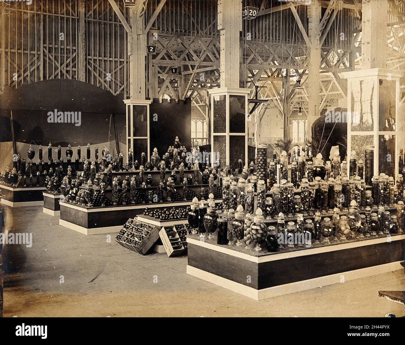 The 1904 World's Fair, St. Louis, Missouri: an exhibit displaying ...