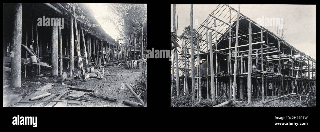 Sarawak: the supporting poles of a Kayan tribal house and a Sea Dayak ...