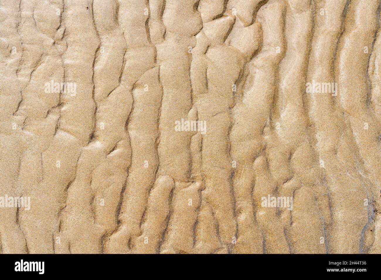 A top view of the sand at the beach under the sunlight - perfect for ...