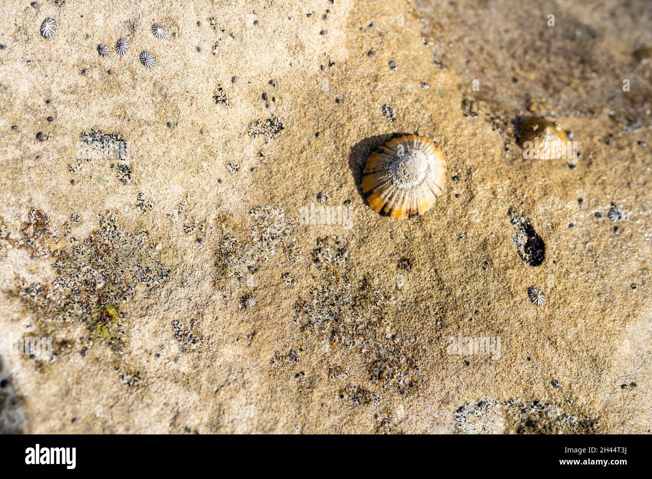 Rock wallpapers hi-res stock photography and images - Alamy