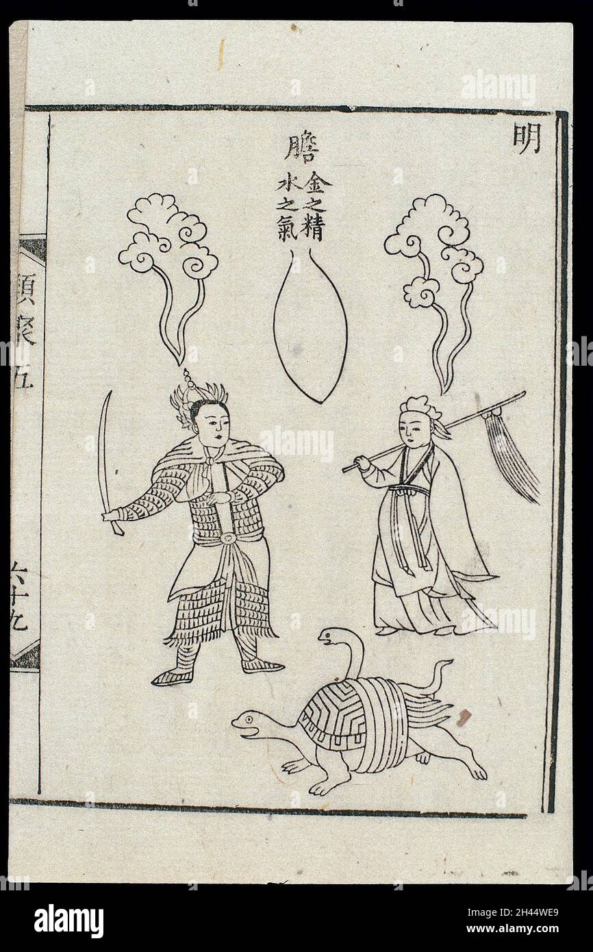 Symbolic image of the gall bladder: Chinese/Korean/Japanese Stock Photo ...