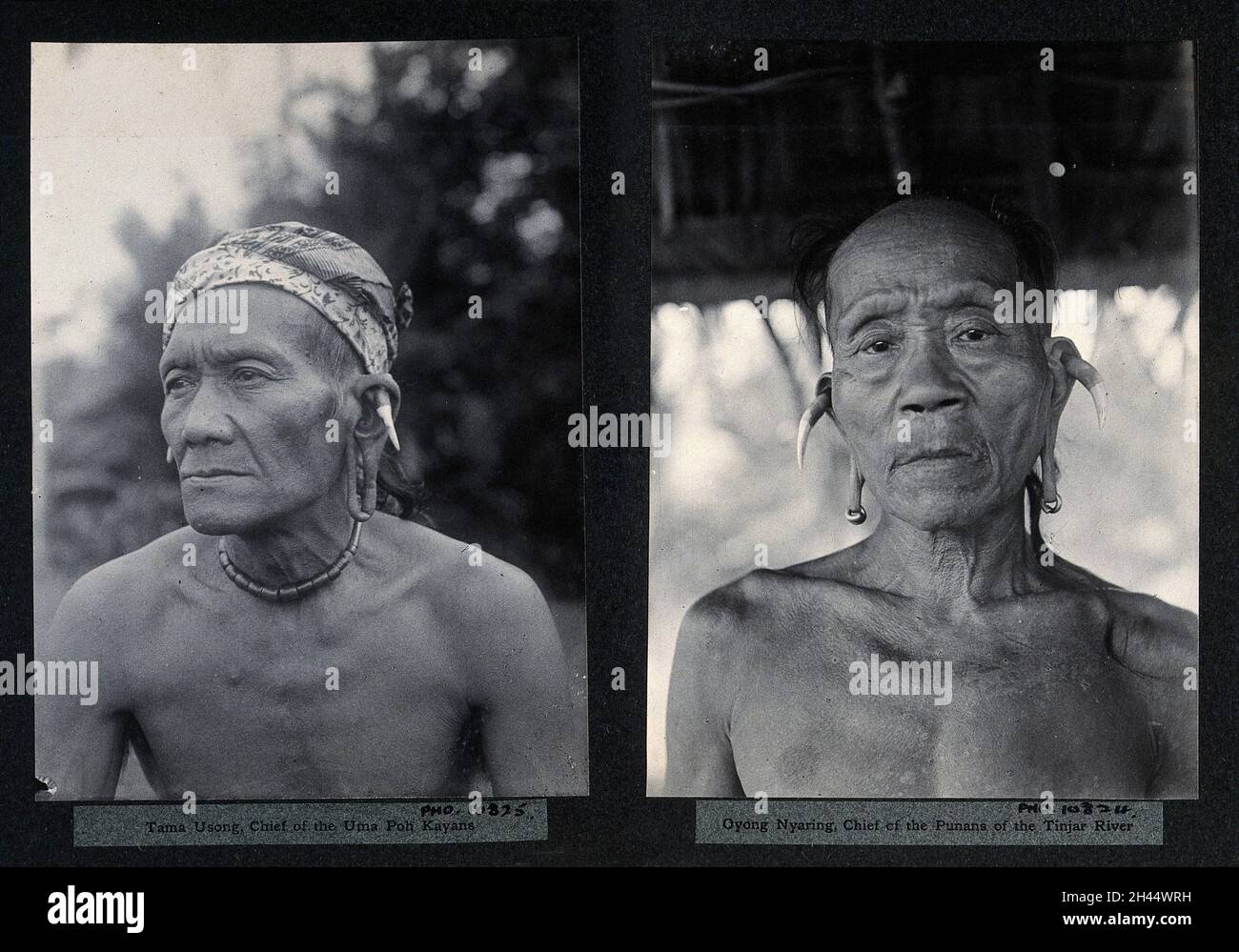 Sarawak: two tribal chiefs. Photograph Stock Photo - Alamy