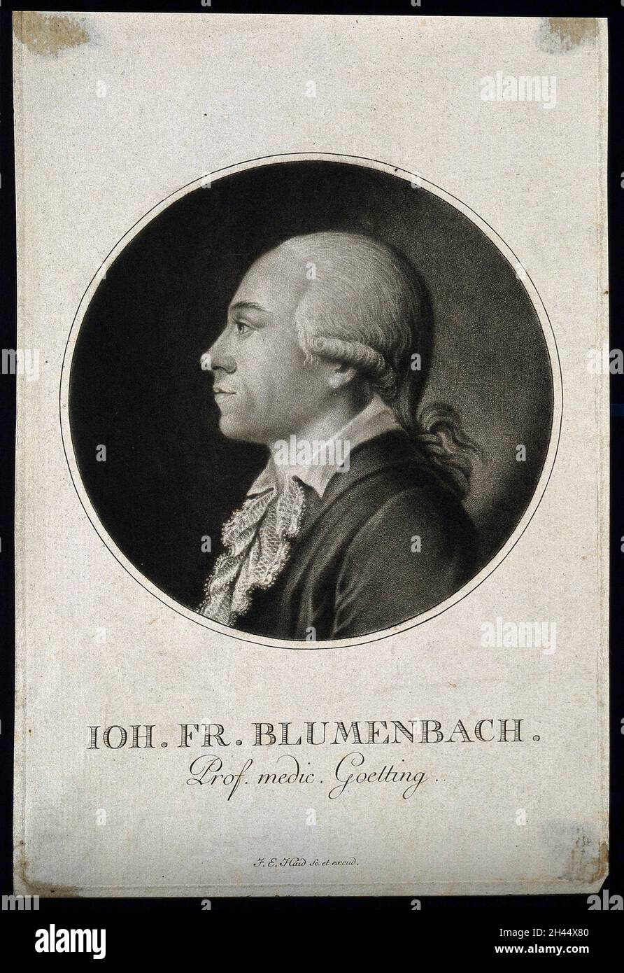 Johann Friedrich Blumenbach. Mezzotint by F. E. Haid Stock Photo - Alamy