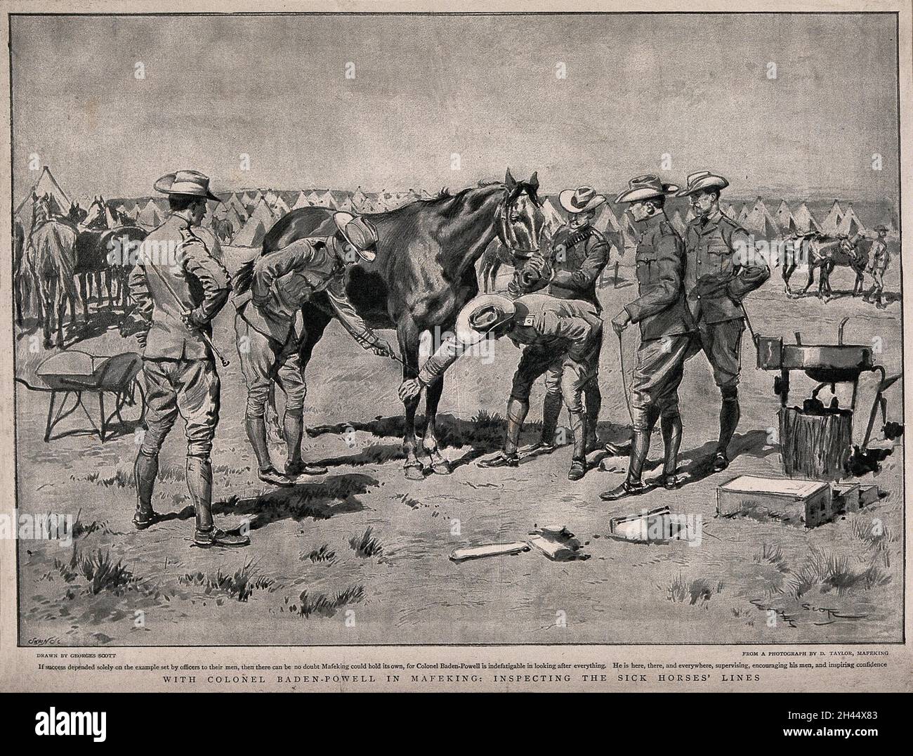 Boer War: Colonel Baden-Powell inspecting a sick horse at a military ...