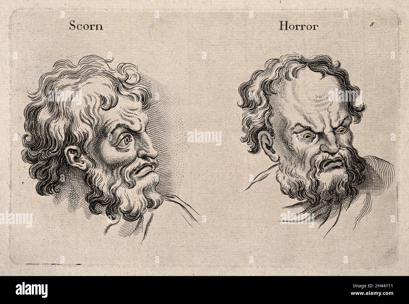 A face expressing scorn (left) and a face expressing horror (right ...