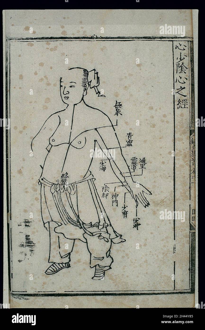 Acupuncture chart, heart channel of hand shaoyin, Chinese Stock Photo ...