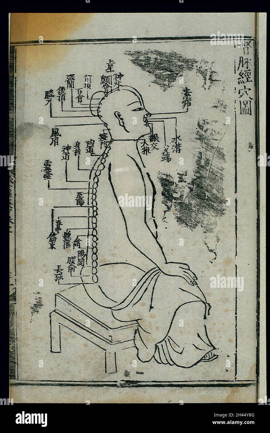 Acupuncture chart, dumai (Governor Vessel), Chinese Stock Photo - Alamy
