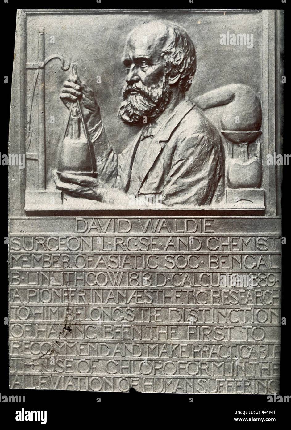 Waldie High Resolution Stock Photography and Images - Alamy