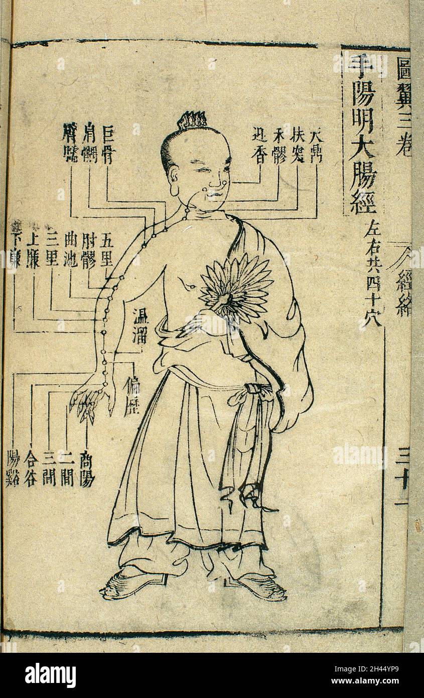 Acupuncture chart, large intestine channel of hand yangming Stock Photo ...