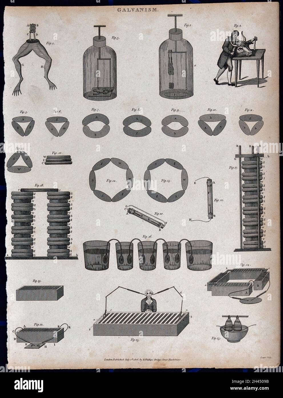 Electricity: electrical equipment, batteries, etc., and frogs' legs ...