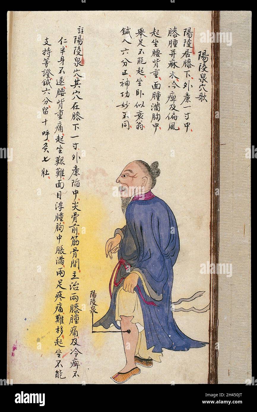C19 Chinese MS moxibustion point chart: Yanglingquan Stock Photo - Alamy