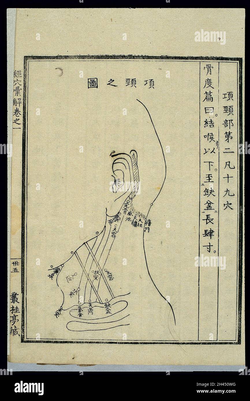 Acu-moxa chart: points of the throat and neck, Japanese Stock Photo - Alamy