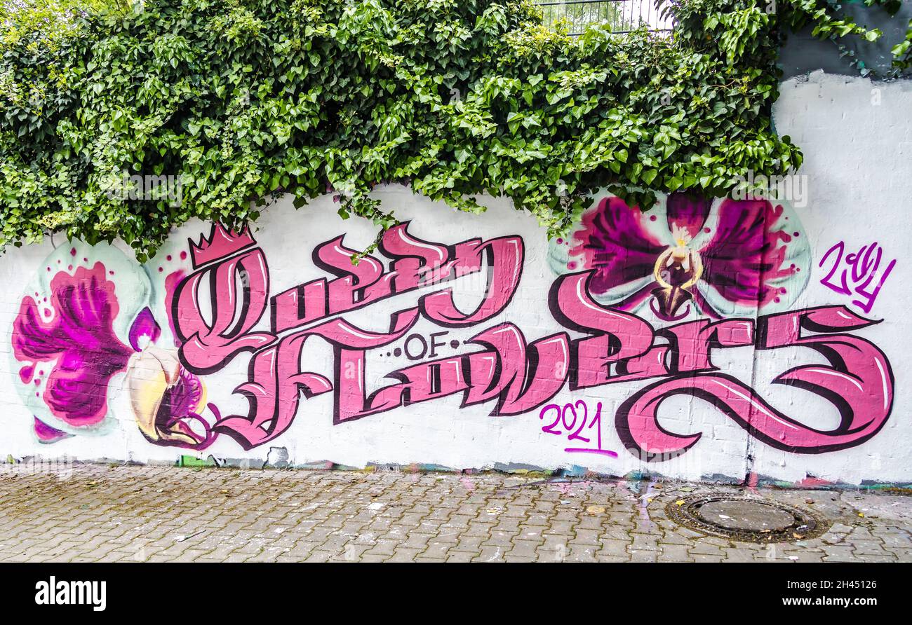Awesome pink graffiti with lettering " Queens of Flowers" on a wall ...