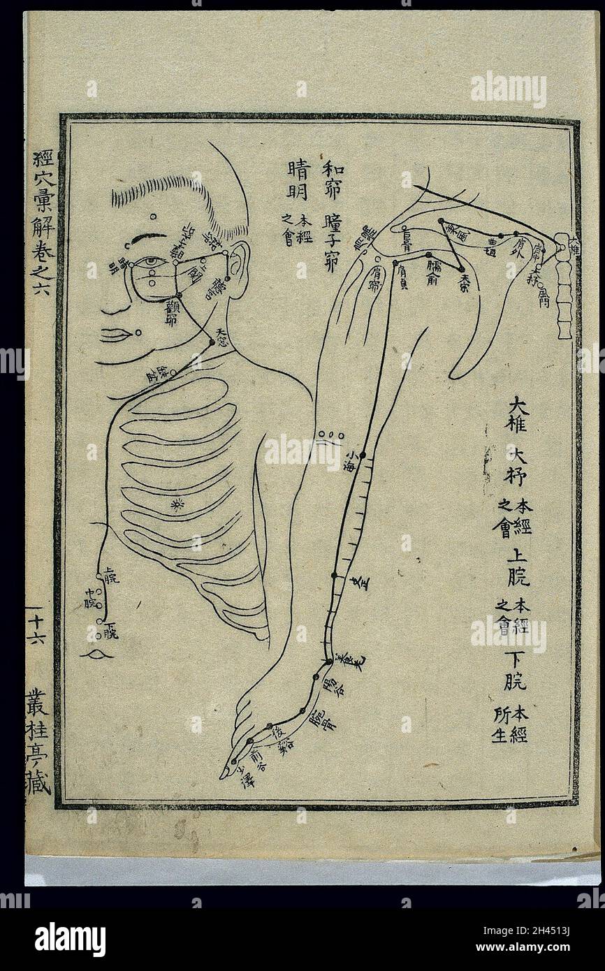 Acu-moxa chart: Small intestine channel of hand taiyang Stock Photo - Alamy