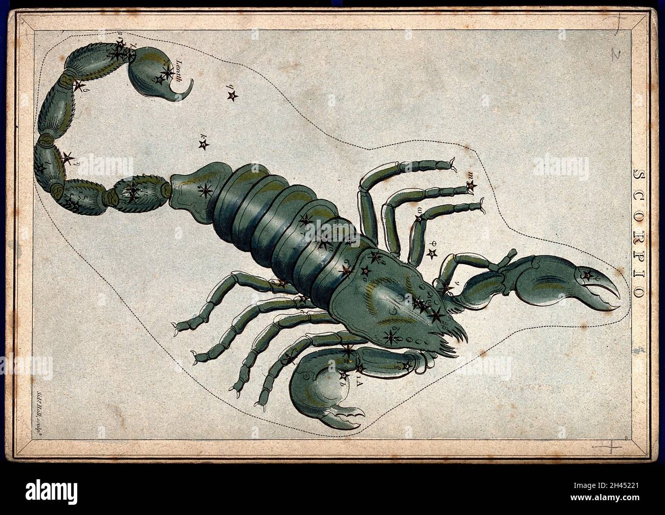 Astrology: signs of the zodiac, Scorpio. Coloured engraving Stock Photo ...