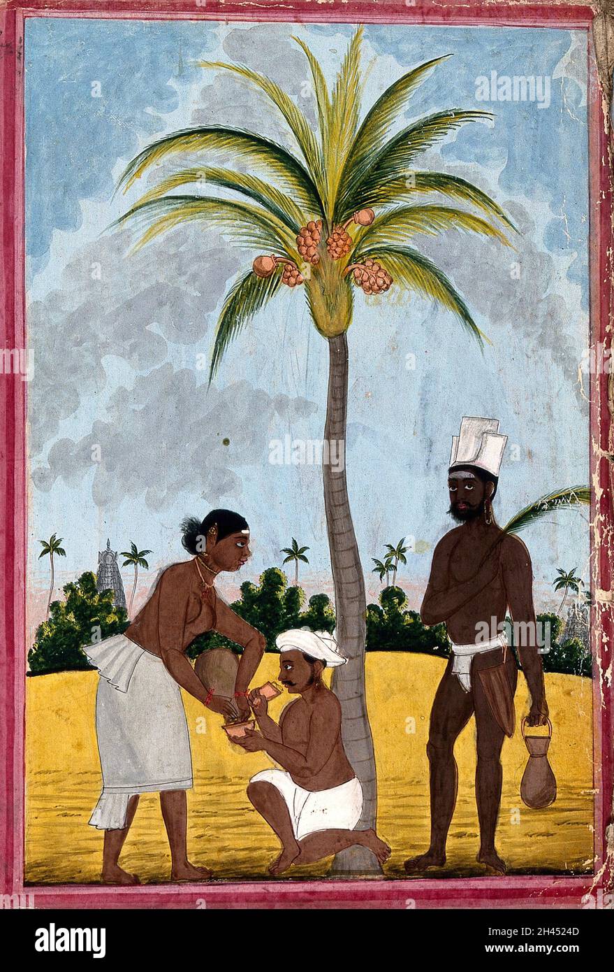 Toddy tappers at work: two men and a woman by a palm tree. Gouache ...