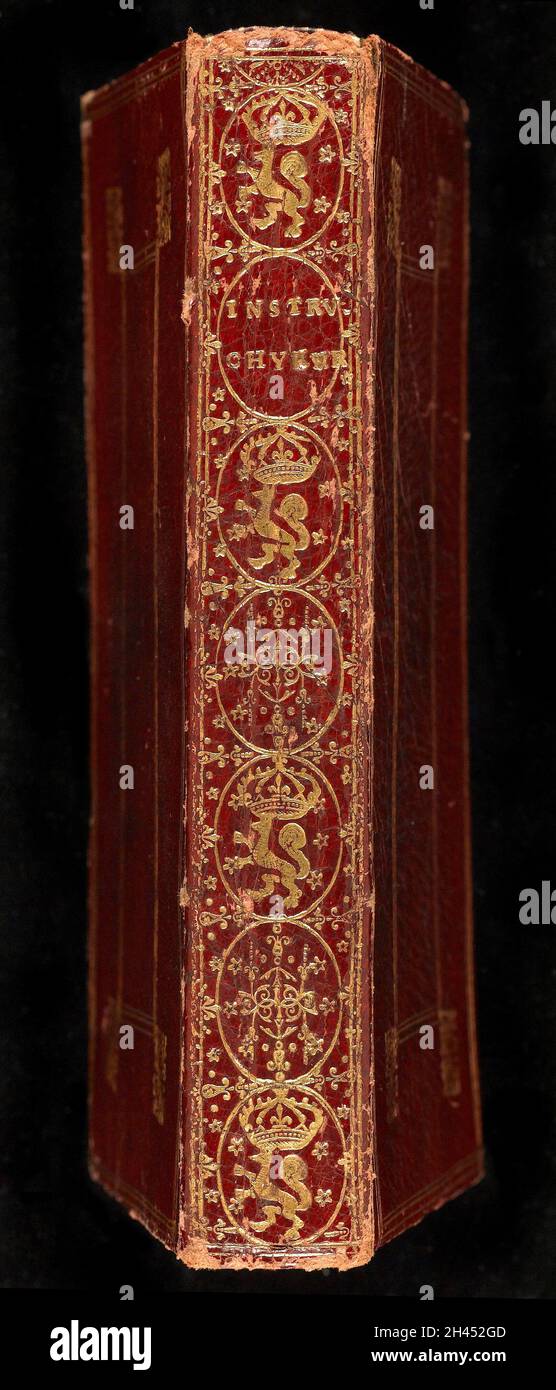 Hand painted wood engraving Stock Photo - Alamy