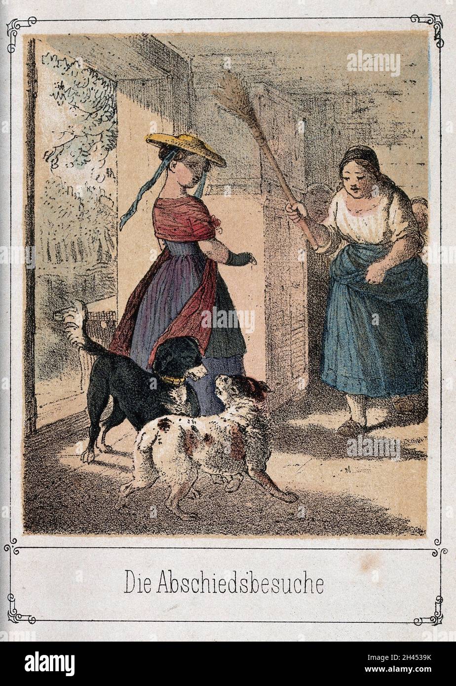 Two dogs greeting each other enthusiastically with the effect that the ...