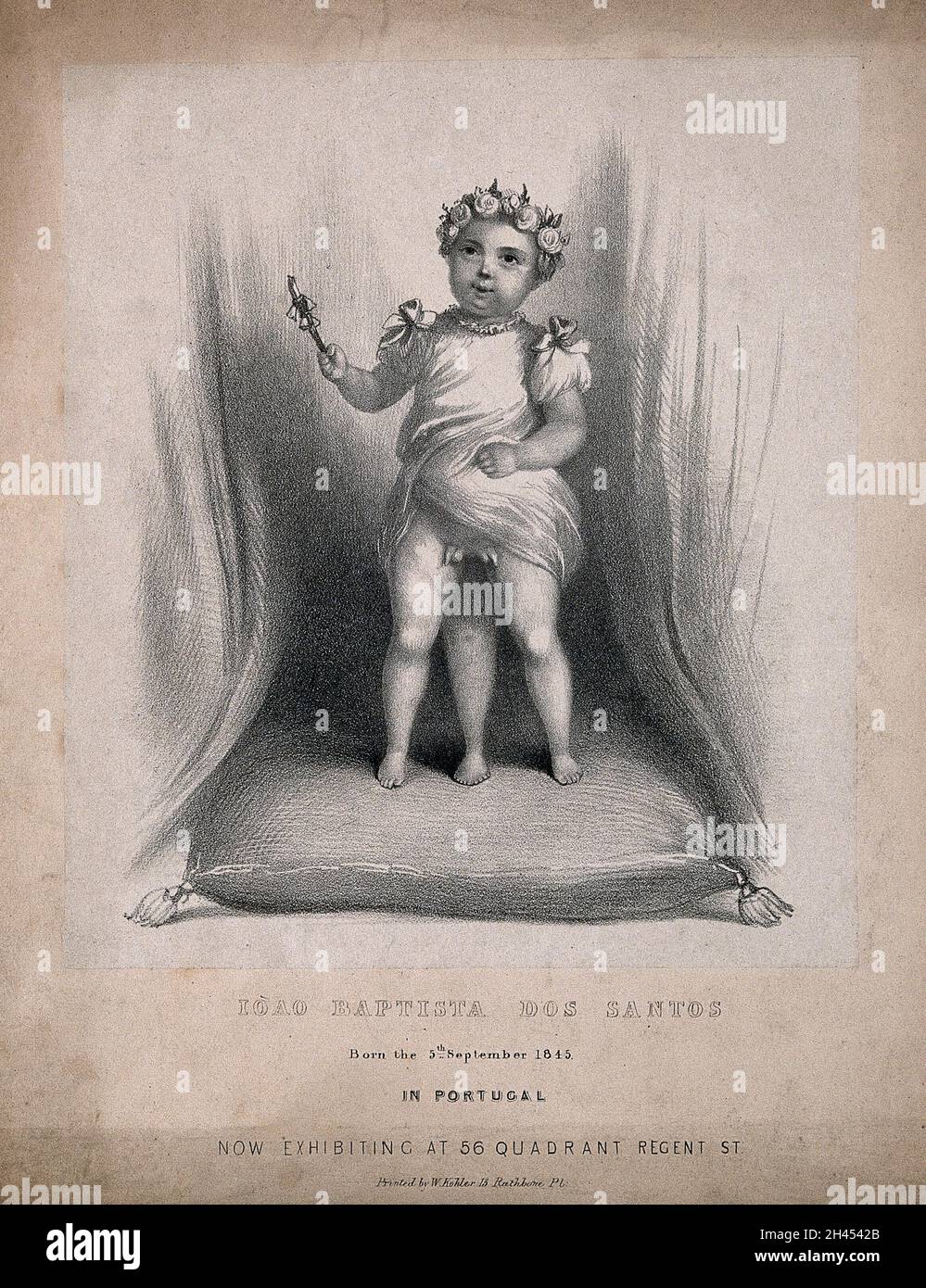 Diphallic hi-res stock photography and images - Alamy