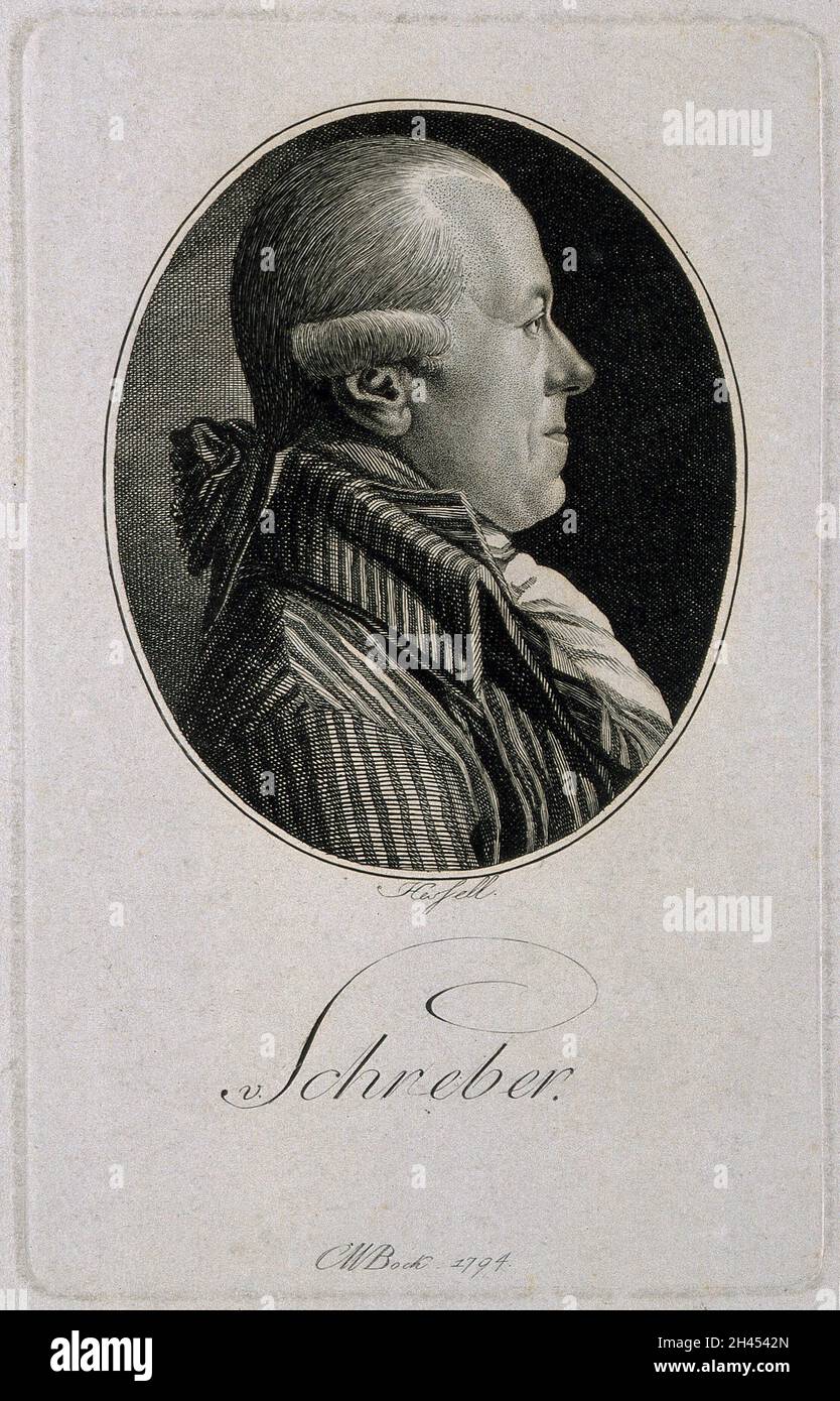 Johan von schreber hi-res stock photography and images - Alamy