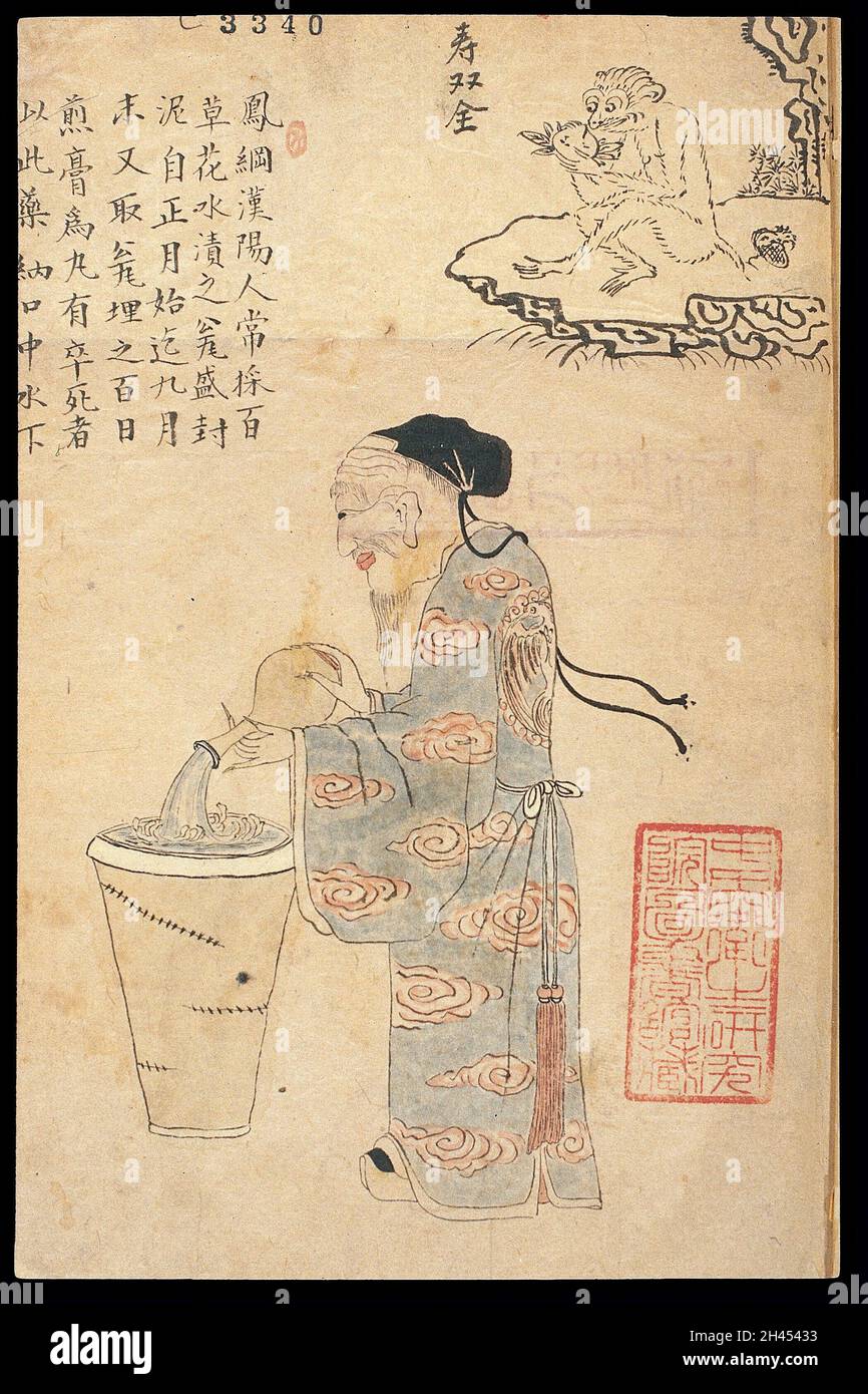 C19 Chinese paintings of famous physicians: Feng Gang Stock Photo - Alamy