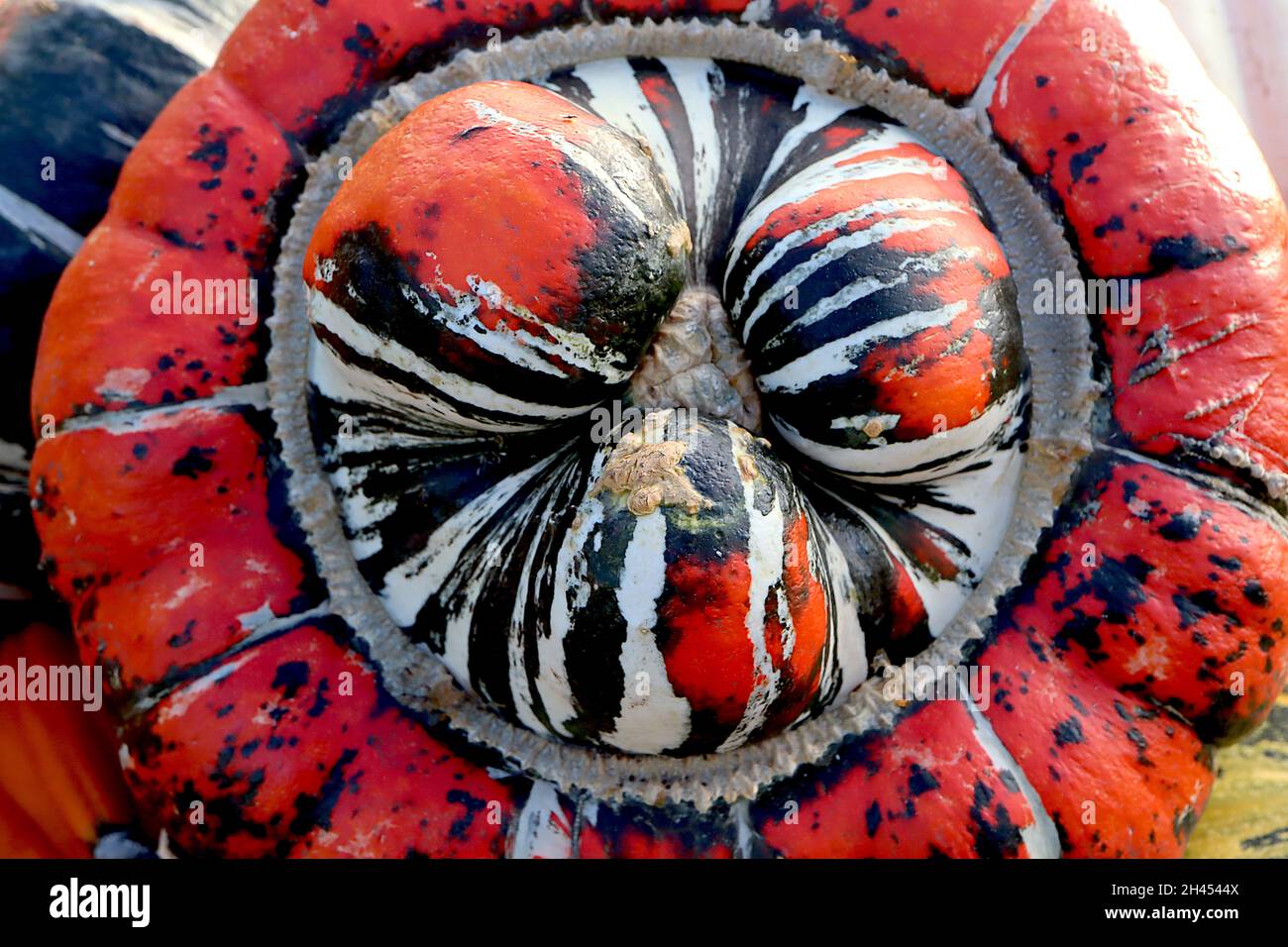 Top half dome in hi-res stock photography and images - Alamy