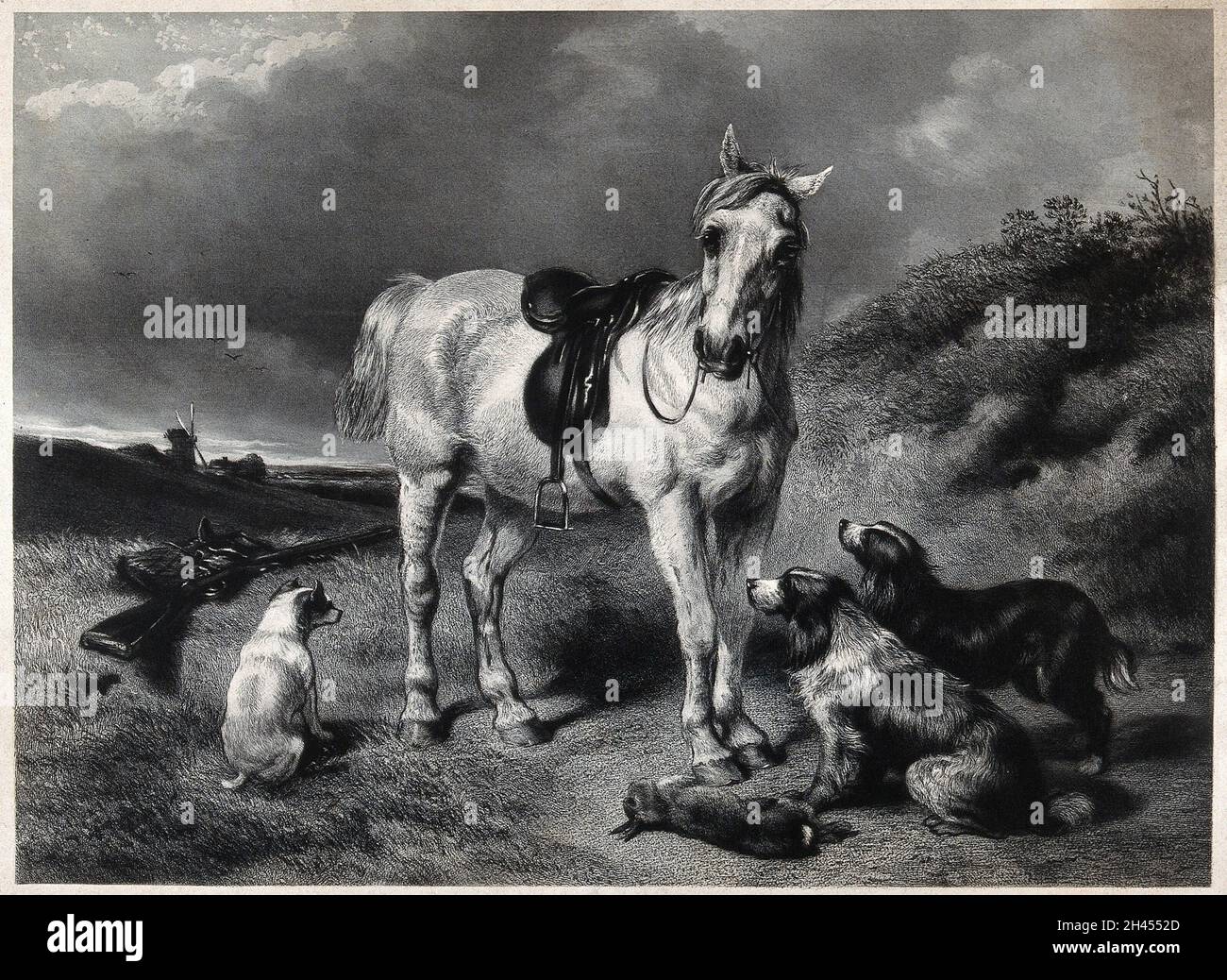 A saddled pony is standing next to three hunting dogs and a dead hare ...