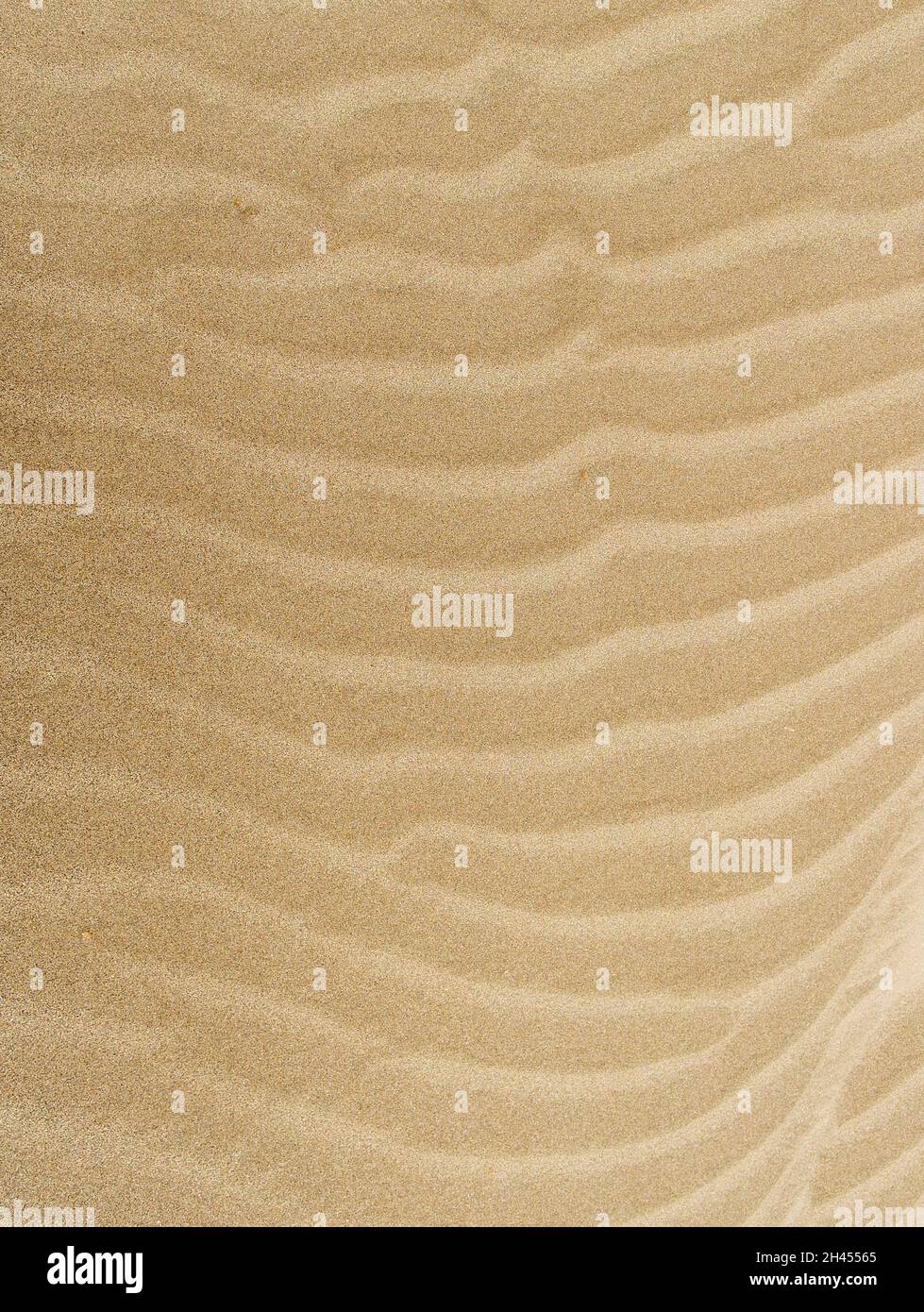 A sandy texture with wavy lines on the surface Stock Photo - Alamy
