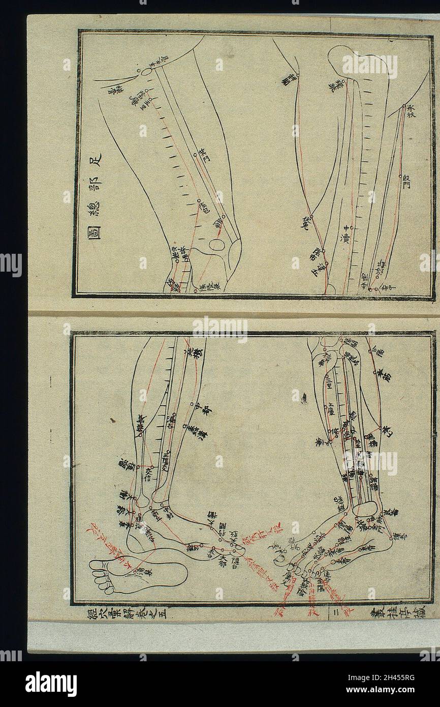 Acu-moxa chart: Channels and acupoints of the leg and foot Stock Photo ...