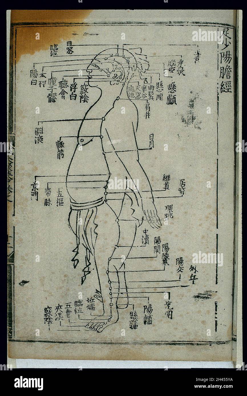 Acupuncture chart, gall bladder channel of foot shaoyang Stock Photo ...