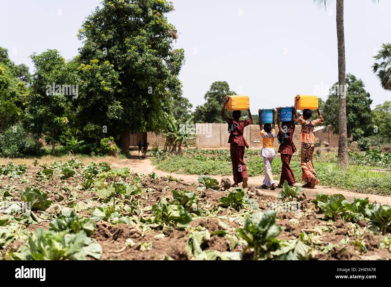 Typical African village scene with young girls carrying water ...