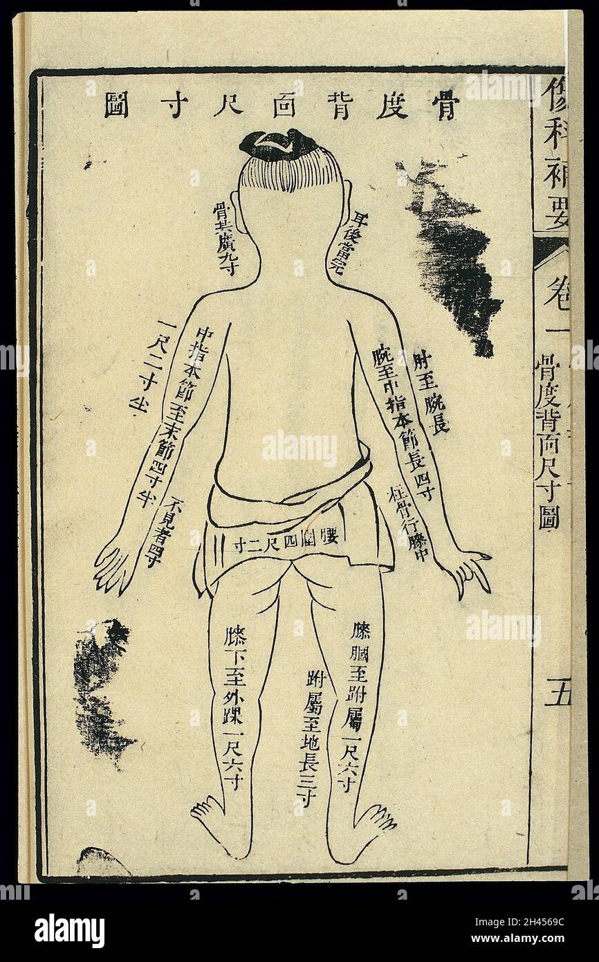 Chinese woodcut: Bone measurements - back of the body Stock Photo - Alamy