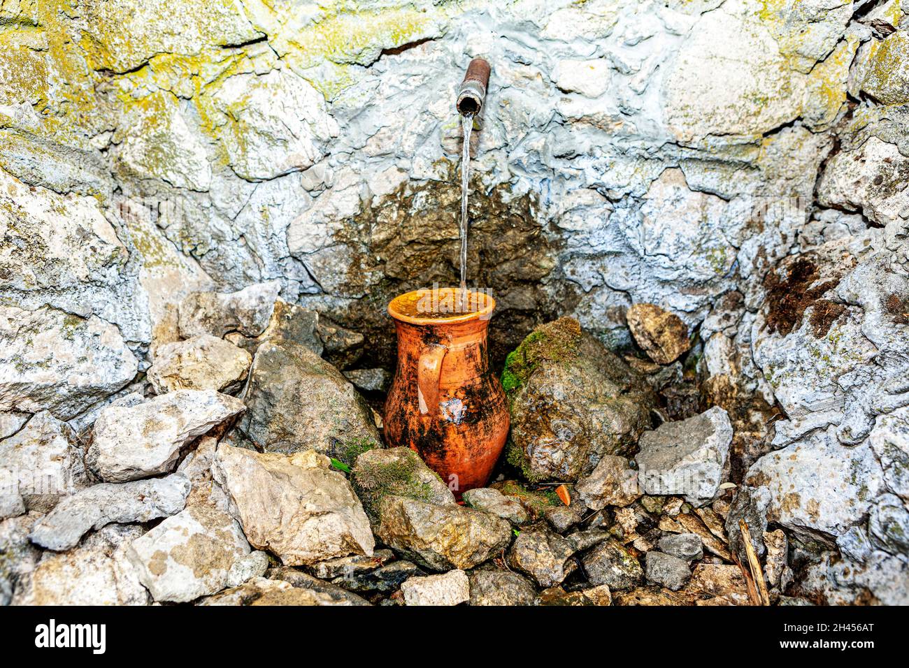 Spring water flows into the jug . Natural source of drinking water ...