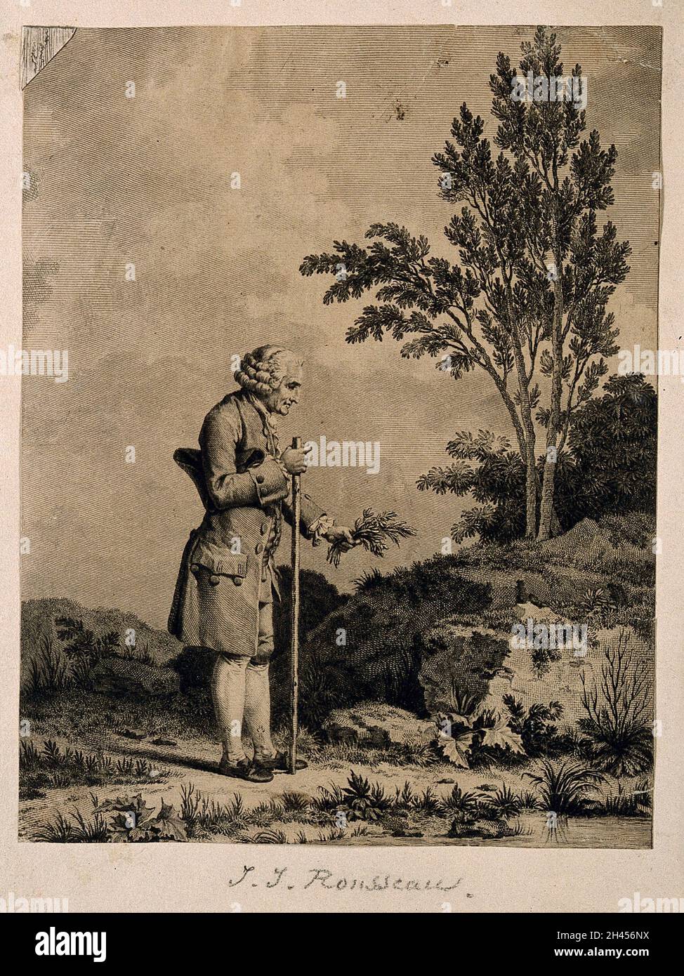 Rousseau biography hi-res stock photography and images - Alamy