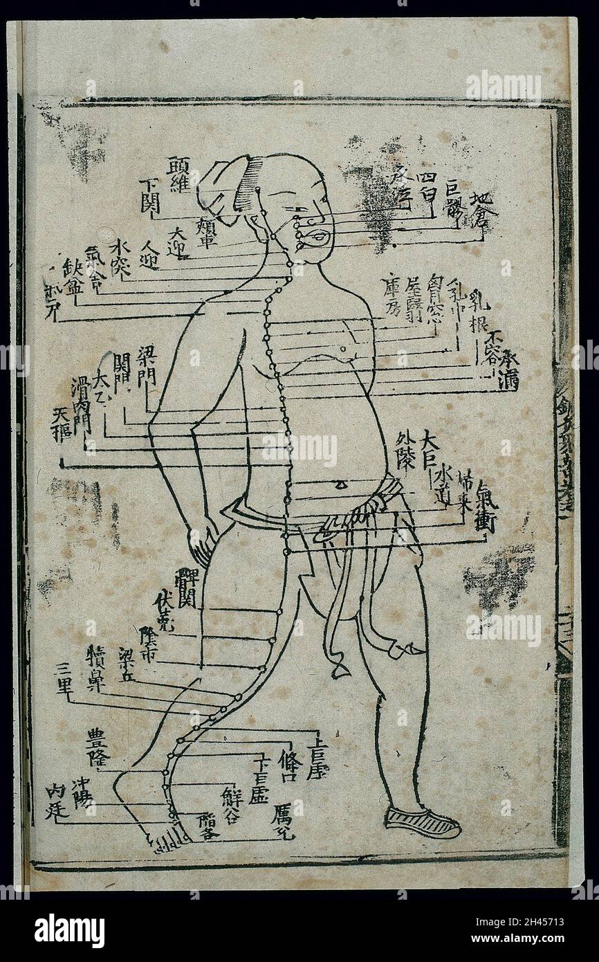 Acupuncture chart, stomach channel of foot yangming, Chinese Stock ...