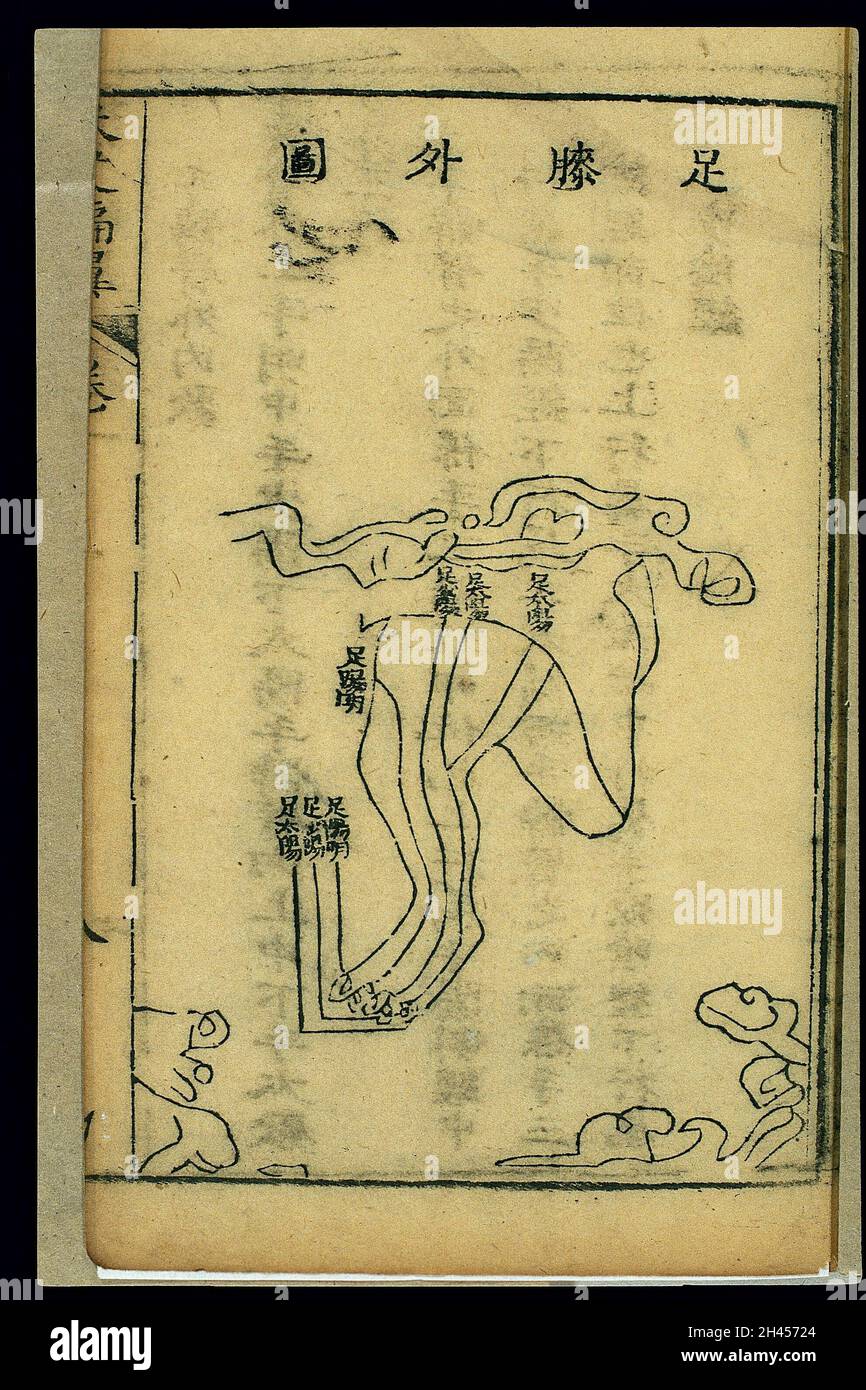 Chart of the three hand yang channels, Chinese woodcut Stock Photo - Alamy