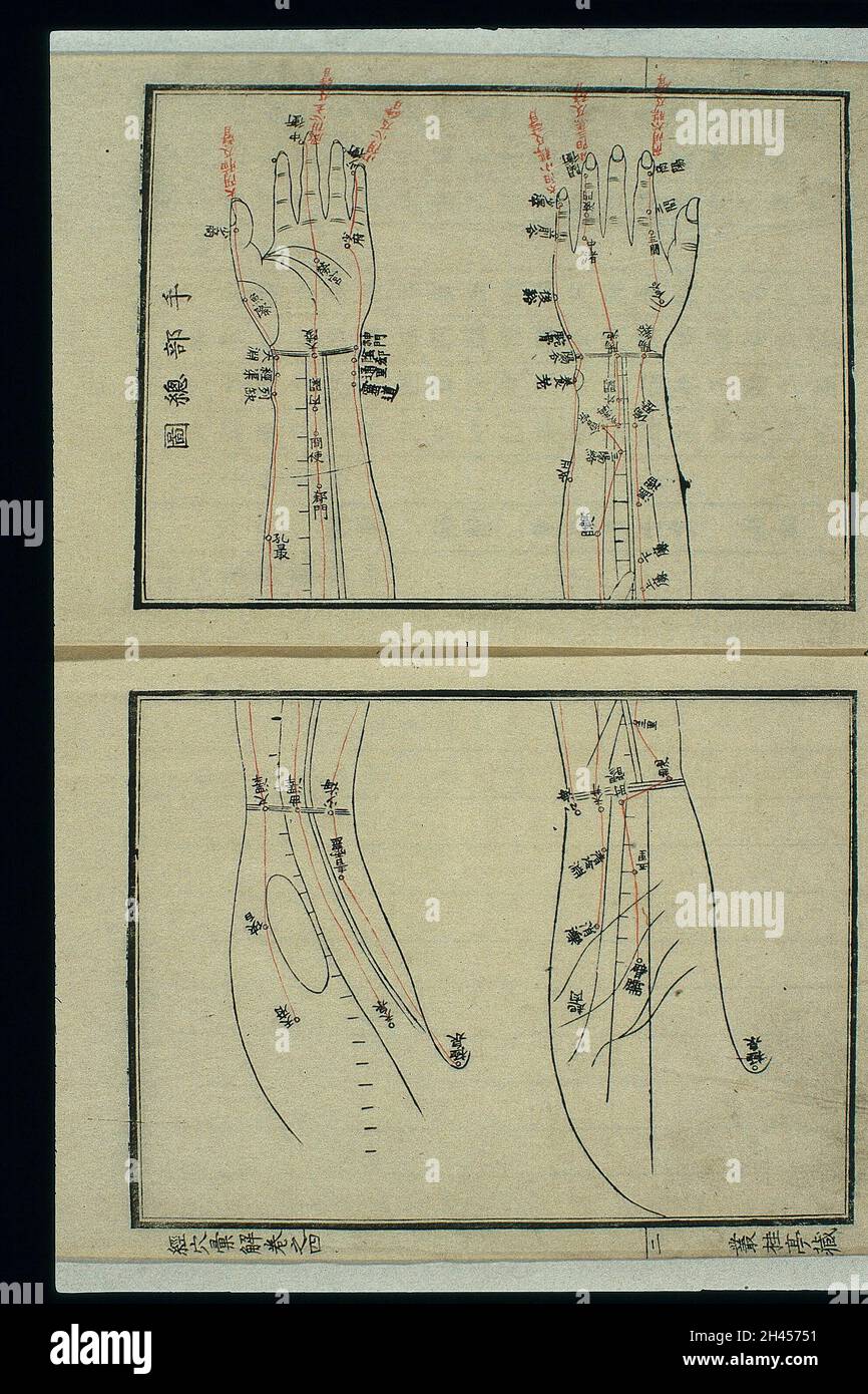 Acu-moxa chart: points of the hand and arm, Japanese woodcut Stock ...