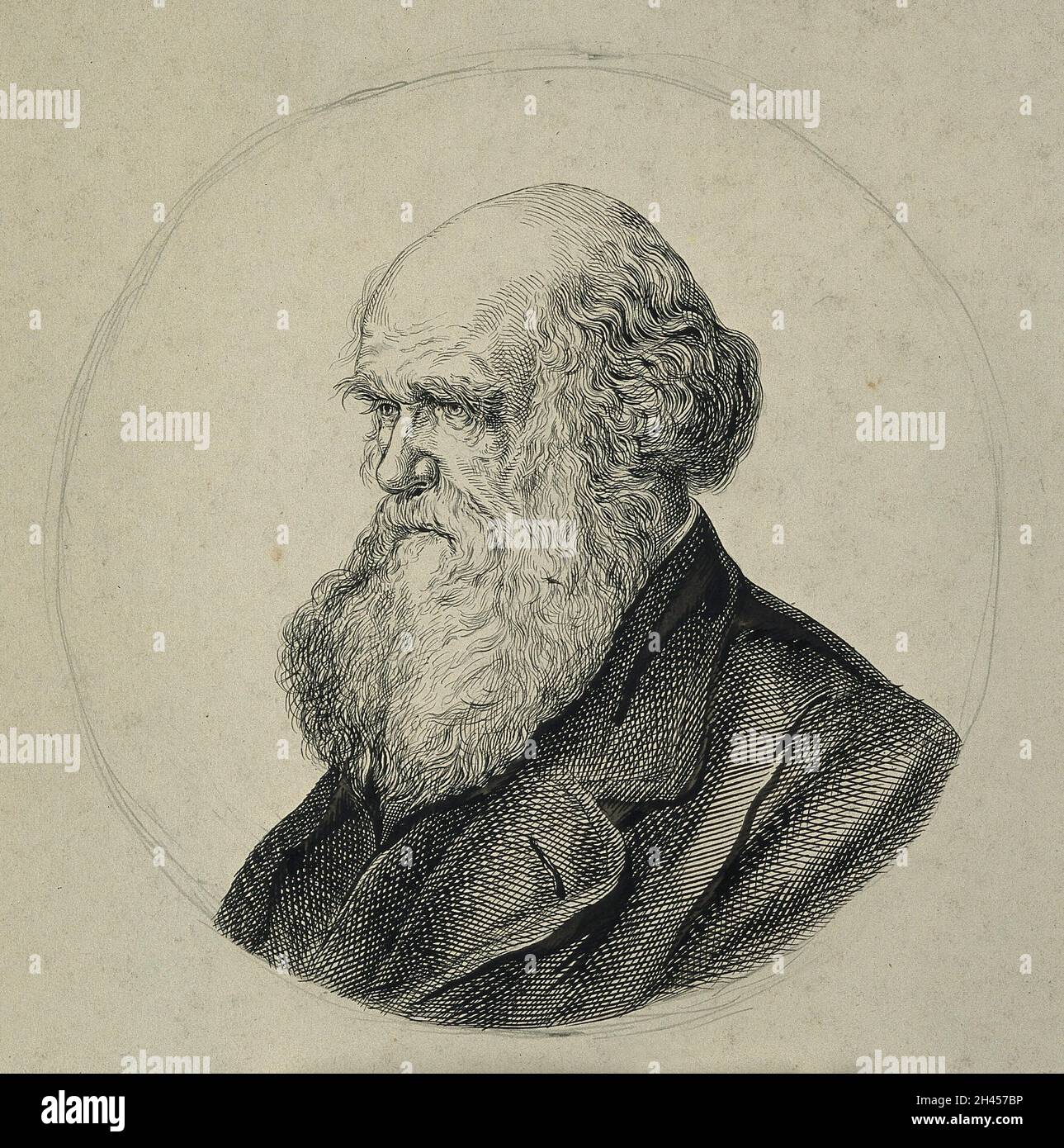 Charles Robert Darwin. Pen and ink drawing Stock Photo - Alamy
