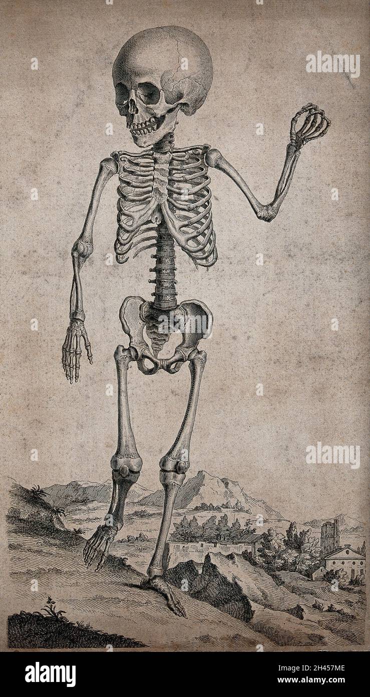 The skeleton of a child standing in an Italianate landscape. Engraving ...