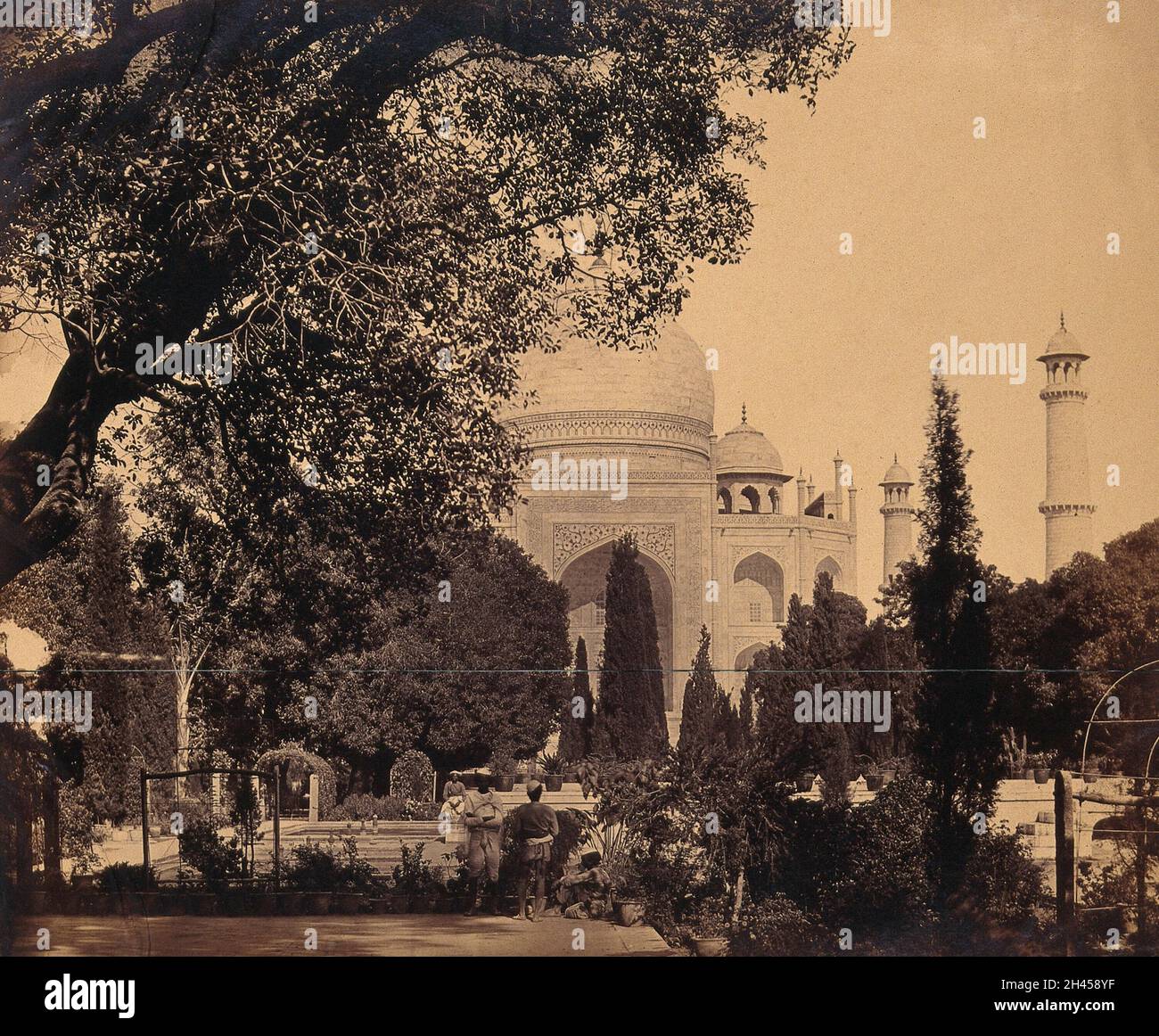 The Taj Mahal with gardens and trees in the foreground Stock Photo - Alamy