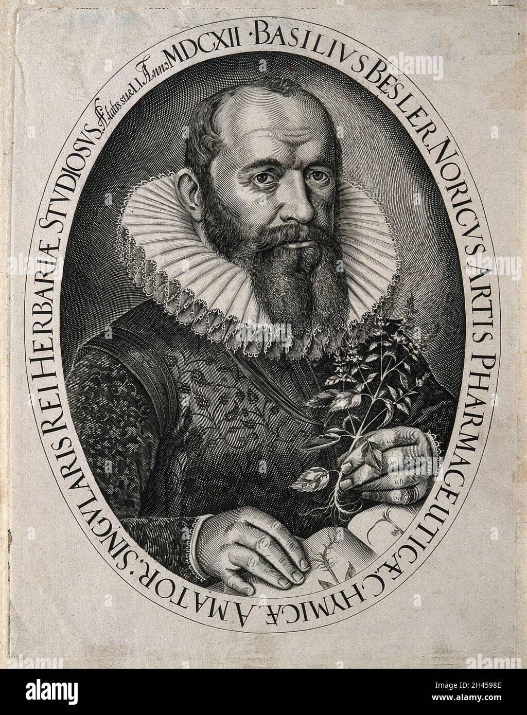 Basilius Besler. Line engraving by J. Leypolt, 1612 Stock Photo - Alamy
