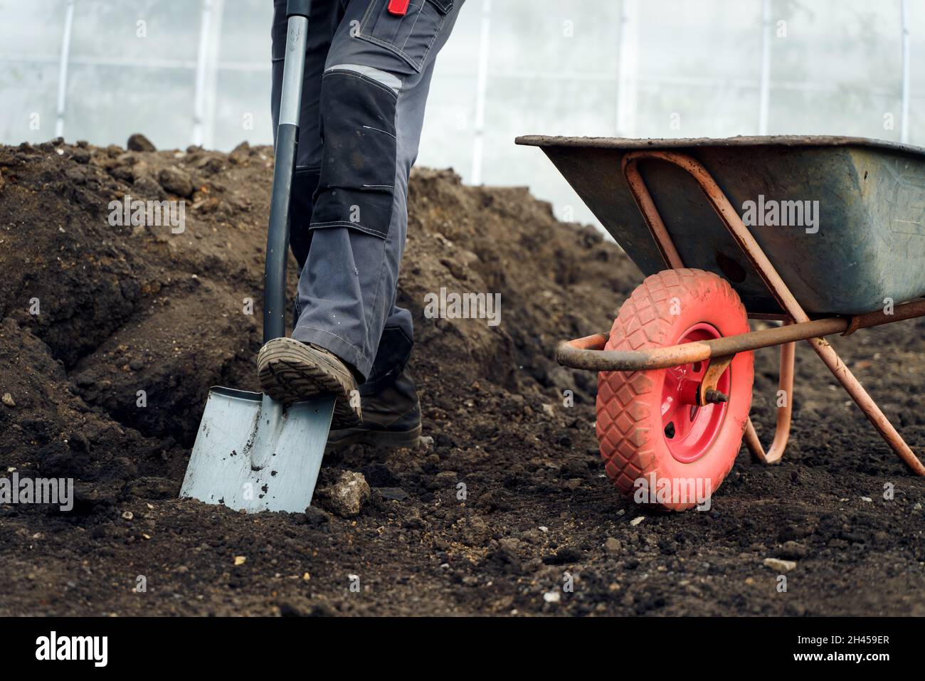 Working with garden tools, shovel and wheelbarrow on the site of a ...