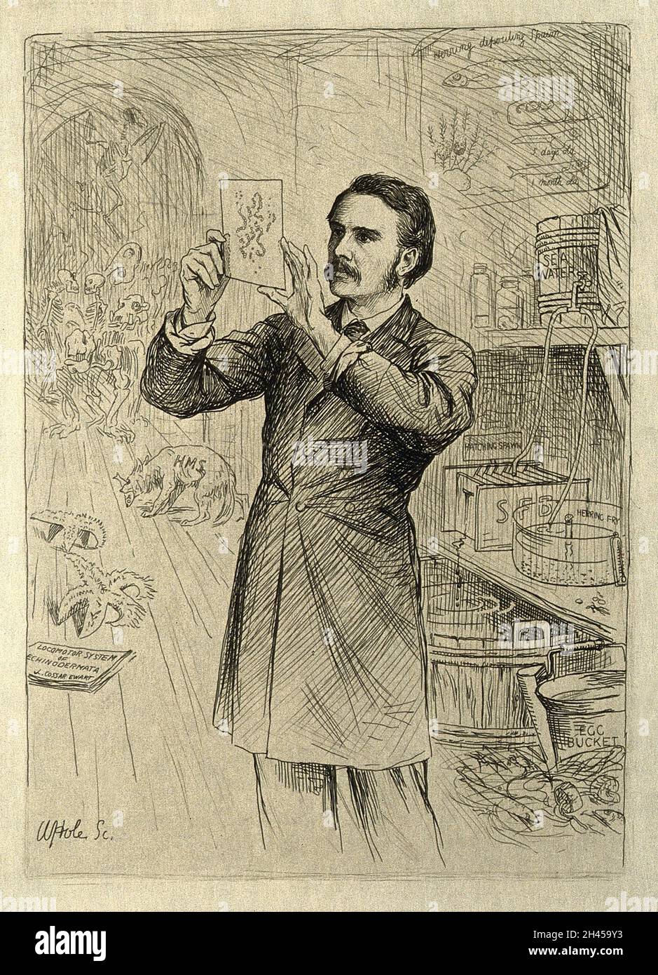 James ewart hi-res stock photography and images - Alamy