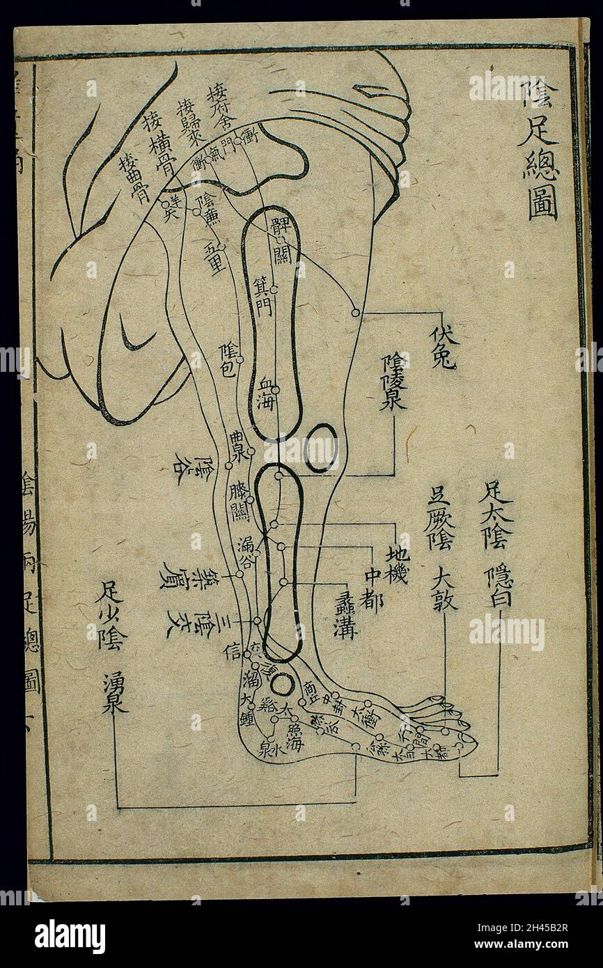 Three foot yin channels and their acupoints, general chart Stock Photo ...
