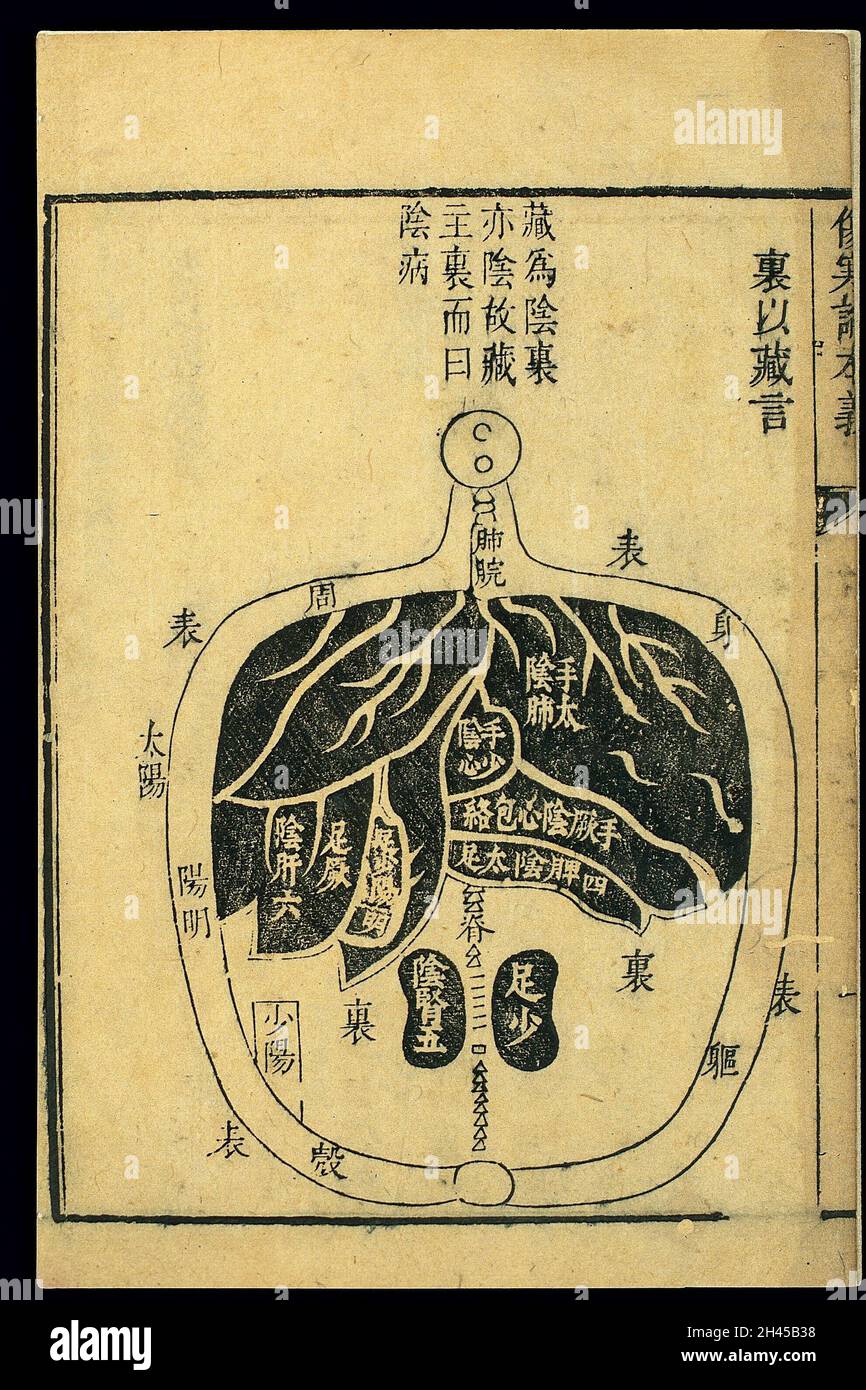 Internal pathologies hi-res stock photography and images - Alamy