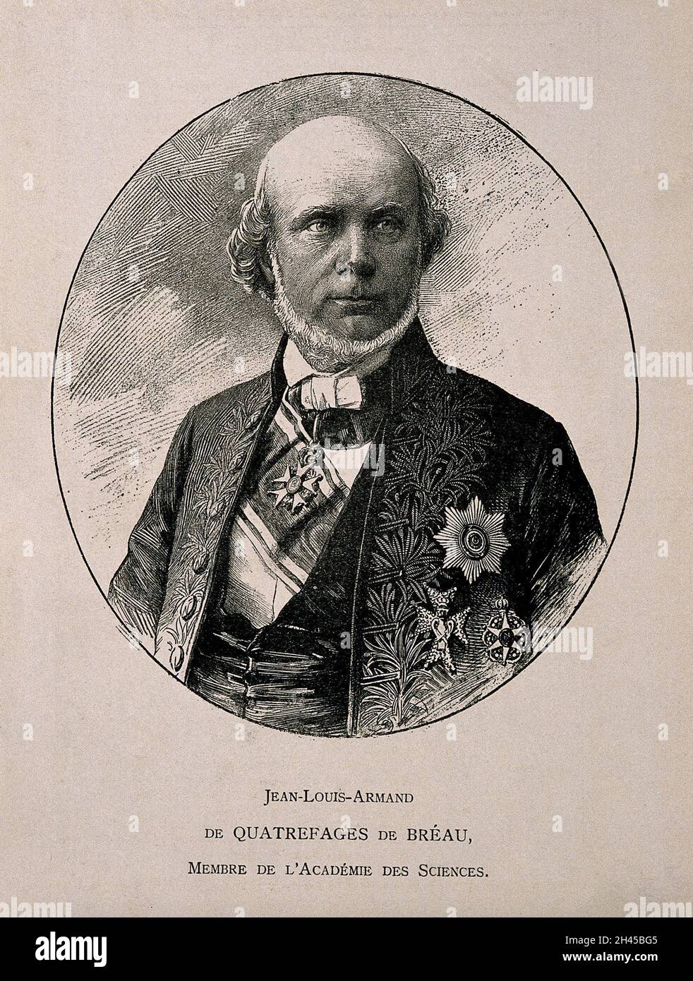 Jean-Louis-Armand de Quatrefages de Bréau. Wood engraving Stock Photo ...