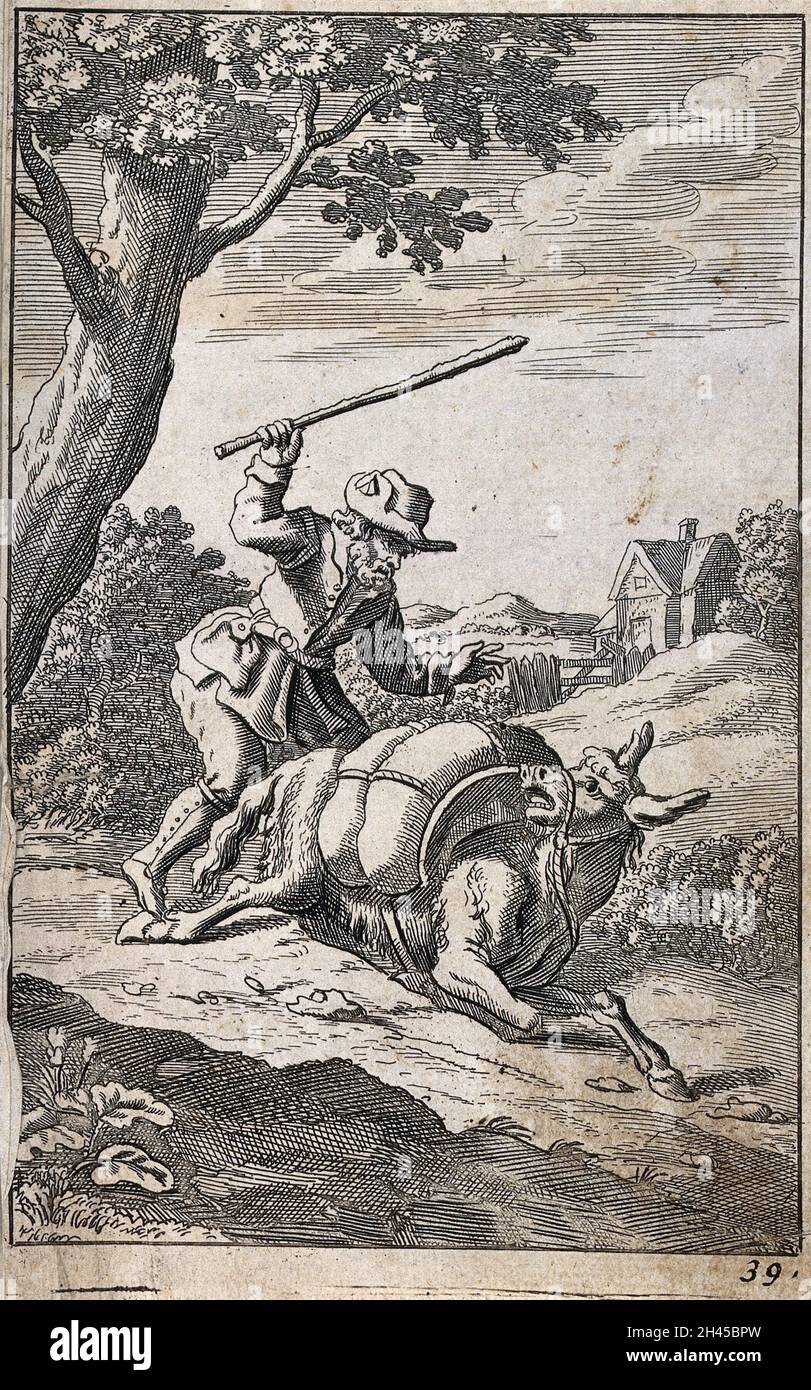 A peasant is beating a heavily loaded ass with a stick to encourage it ...